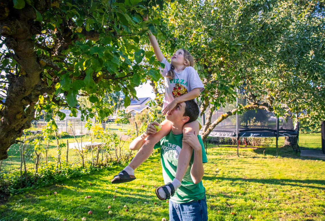 Startsida | Region Kalmar Län